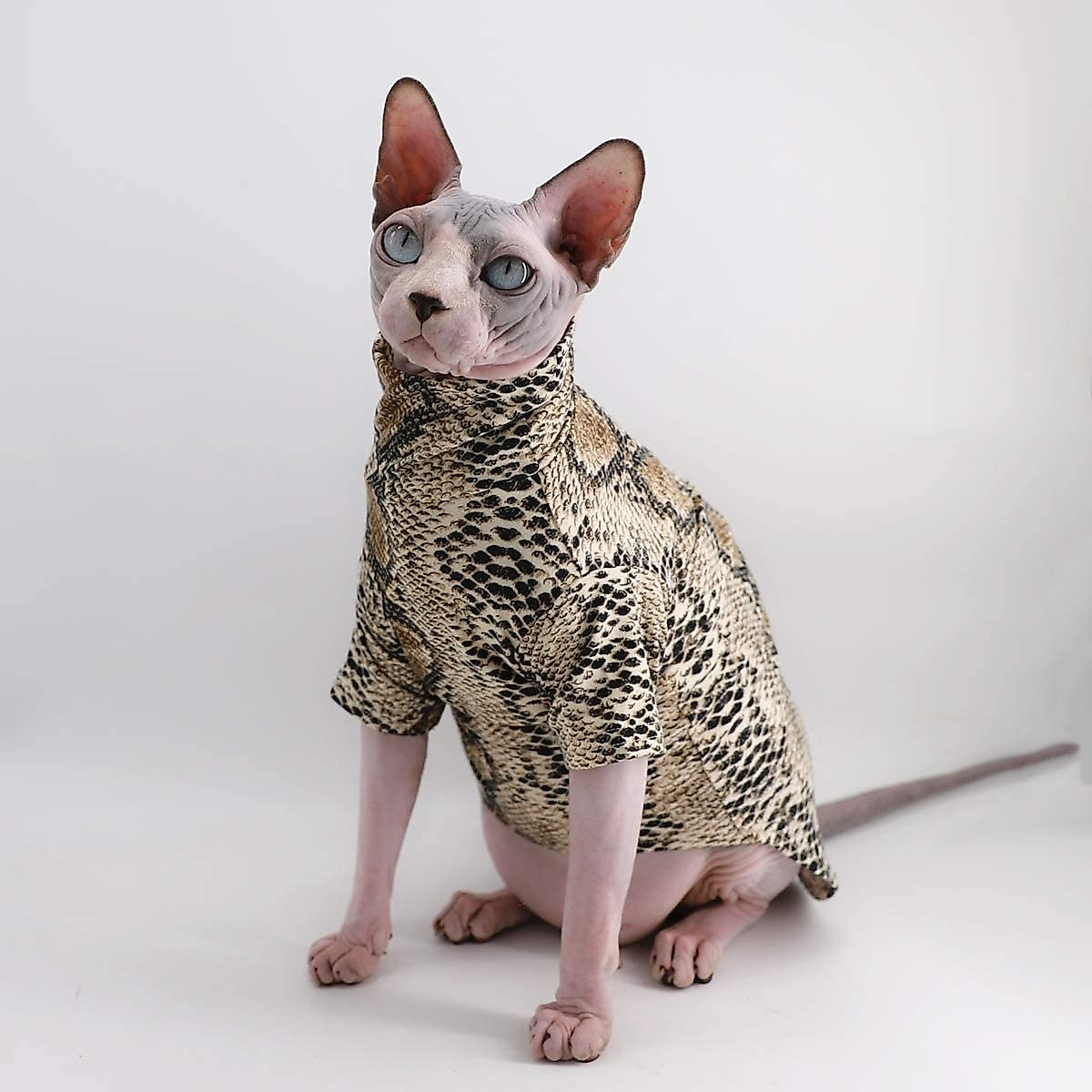 Limited Edition Cool Sphynx Hairless Cat Summer Snake Skin Pattern Cotton T-Shirts Pet Clothes, Round Collar Vest Kitten Shirts Sleeveless, Cats & Small Dogs Apparel (L (6.6-8.8 lbs), Black)