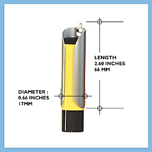 TALLAC HOUSE Stainless Steel Lip Balm Keychain Holder Sleeve with Dial Protection Not Chapstick Brand Compatible