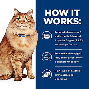 Hill's Prescription Diet k/d + j/d Kidney + Mobility Chicken Flavor Dry Cat Food, Veterinary Diet, 6.4 lb. Bag