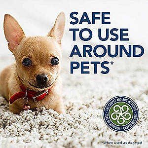 Simple Solution Oxy Charged Pet Stain and Odor Remover | Eliminates Pet Stains and Odors with 3X Cleaning Power | 1 Gallon