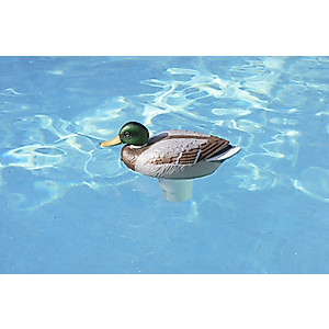 Poolmaster Adustable Chlorine Dispenser for Swimming Pools and Spas, Mallard