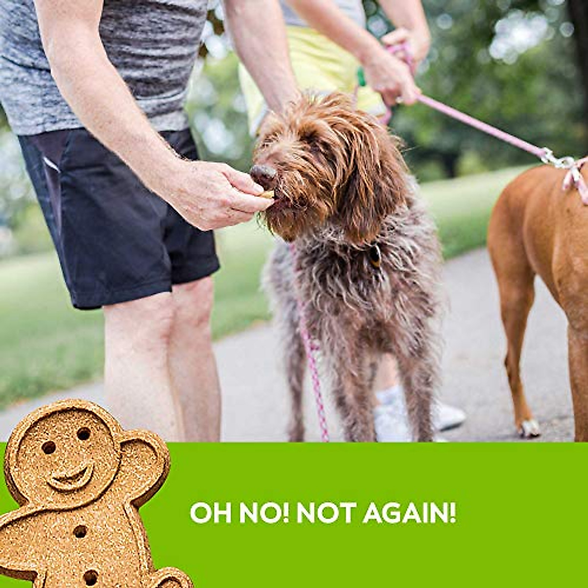 Buddy Biscuits Oven-Baked, Healthy Whole-Grain, Crunchy Treats for Dogs