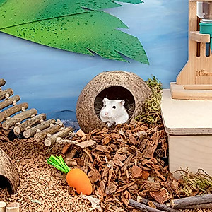 andwe Coconut Hut Hamster House Bed for Gerbils Mice Small Animal Cage Habitat Decor