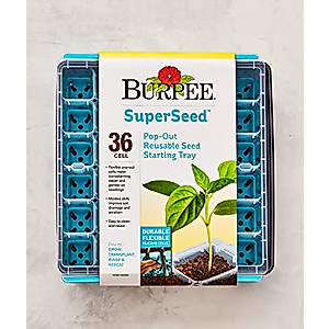 Burpee SuperSeed Seed Starting Tray | 36 Cell Reusable Seed Starter Tray | for Starting Vegetable, Flower & Herb Seeds | Indoor Grow Kit for Plant Seedlings | for Germination Success