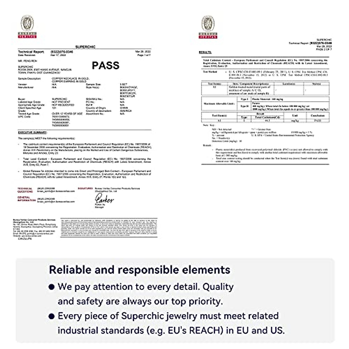 superchic Cute Red and Black Ladybug Beetle Pendant Necklace with Cubic Zirconia Floating Crystals for Women/Girl (Silver Plating)