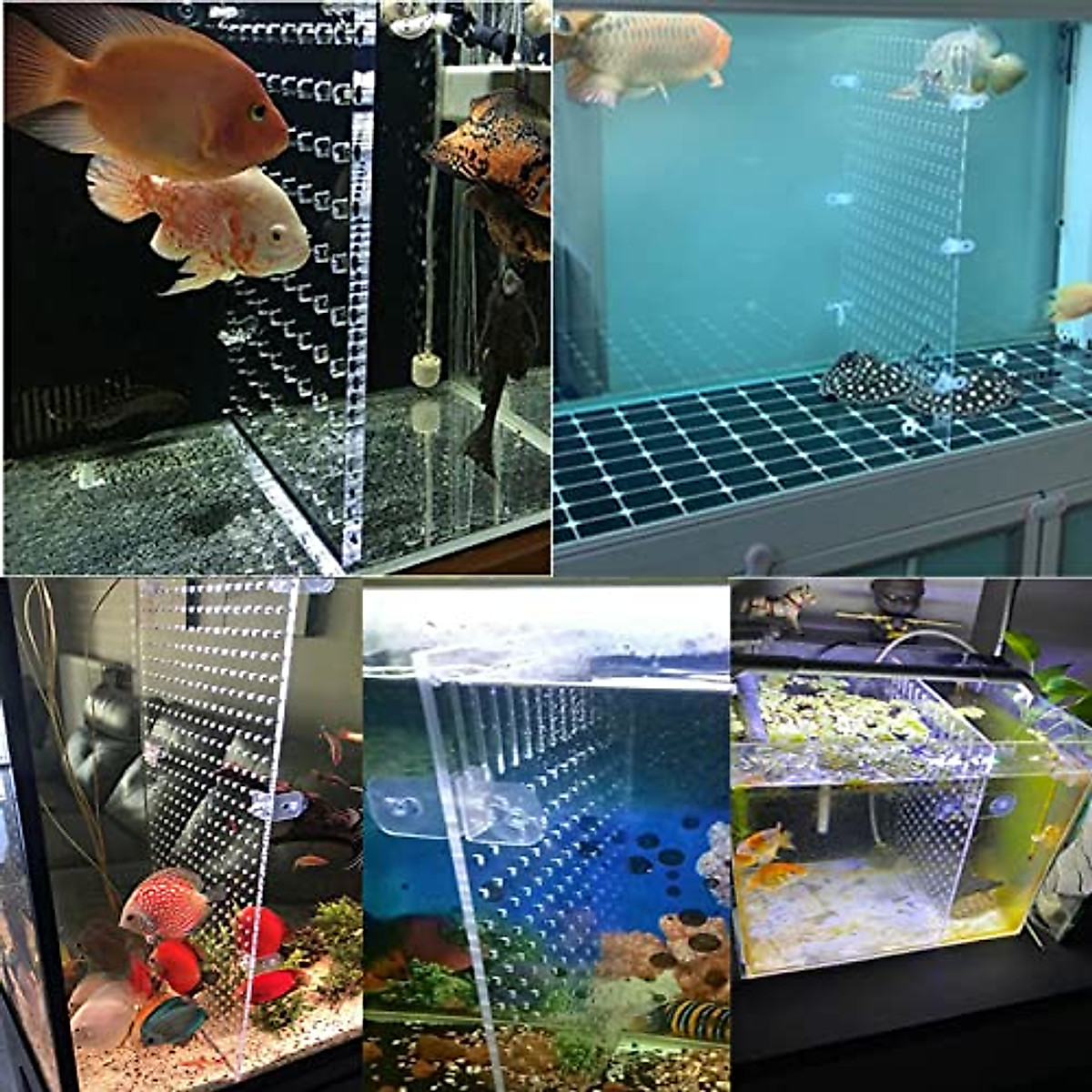 HingoFuni Fish Tank Divider Aquarium Acrylic Isolation Grid Board Divider with Suction Cups Accessories Transparent Plate Baffle Blocking Fish Partition Net Freshwater Ornament 25x30cm