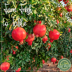 Eat Well Premium Foods Pomegranate Molasses Syrup No Sugar Added, 12 oz., 100% Natural Pomegranate Paste from Turkey, Nar Eksisi, Middle Eastern Gourmet Food, Sweetness for Cooking for Food & Drinks