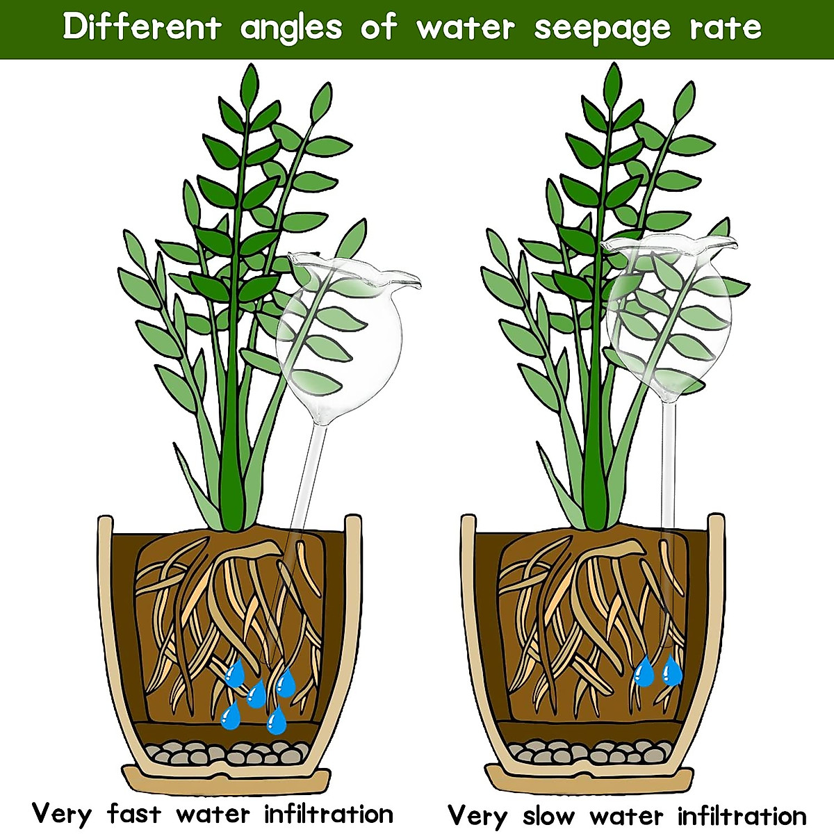 Haawooky Self Watering Globes,Clear Glass Plant Water Bulbs,Hand Blown Automatic Plant Waterer Device for Indoor Outdoor Plants,3 Pack