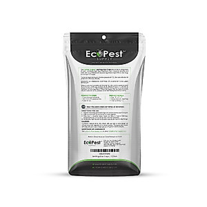 Bed Bug Glue Traps – 12 Pack | Sticky Pest Control Trap and Bed Bug Killer | Adhesive Crawling Insect Interceptors, Trap, Monitor, and Detector for Treatment of Bed Bugs and Other Indoor Pests