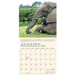 Unlikely Friendships Wall Calendar 2023: Heartwarming Photographs Paired with Stories of Interspecies Friendships