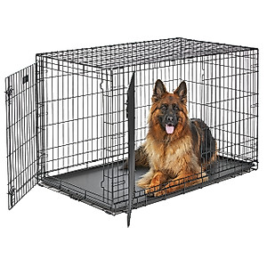 MidWest Homes for Pets XL Dog Crate | MidWest Life Stages Double Door Folding Metal Dog Crate | Divider Panel, Floor Protecting Feet, Leak-Proof Dog Pan | 48L x 30W x 33H Inches, XL Dog Breed