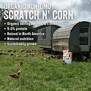 Scratch and Peck Feeds Organic Scratch + Corn, 9% Protein - Premium Supplemental Grain Source for Chickens and Ducks - 25lb