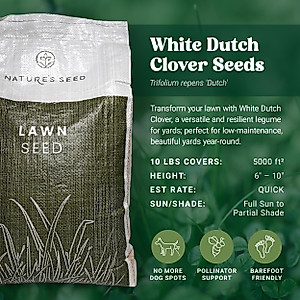 Nature’s Seed White Dutch Clover Seed, Drought Tolerant Ground Cover, Low Maintenance Garden Yard Lawn Alternative, 5000 sq ft