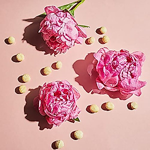 Softsoap Moisturizing body wash, macademia, 20 ounce pump, 20 Fl Oz, 4 Packs