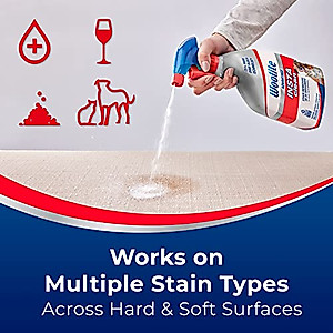 Bissell Advantage INSTAclean™ Pet Stain Remover - 2 Pack, 3322