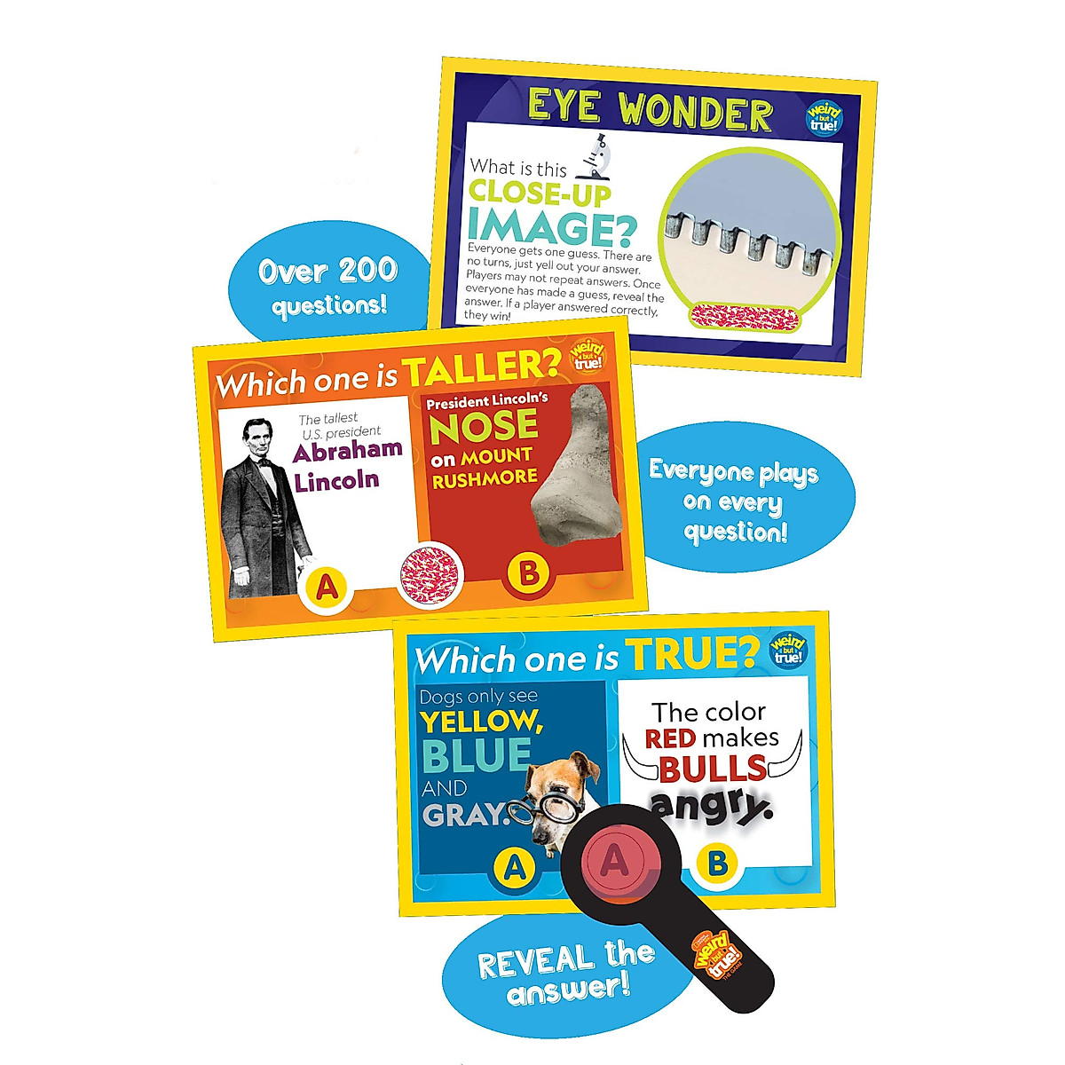 Buffalo Games - Weird But True Game