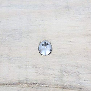 #6 x 5/8" Stainless Truss Head Phillips Wood Screw (100pc) 18-8 (304) Stainless Steel Screws by Bolt Dropper, ssd Screws