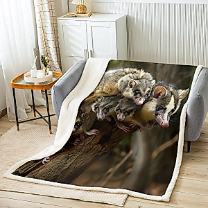 jejeloiu Opossum Sherpa Blanket Twin 60"x80" Possums Fleece Throw Blanket for Kids Boys Girls Possum Gifts Fuzzy Plush Blanket Possum Stuffed Animal Possum Family Flannel Blanket Bedroom