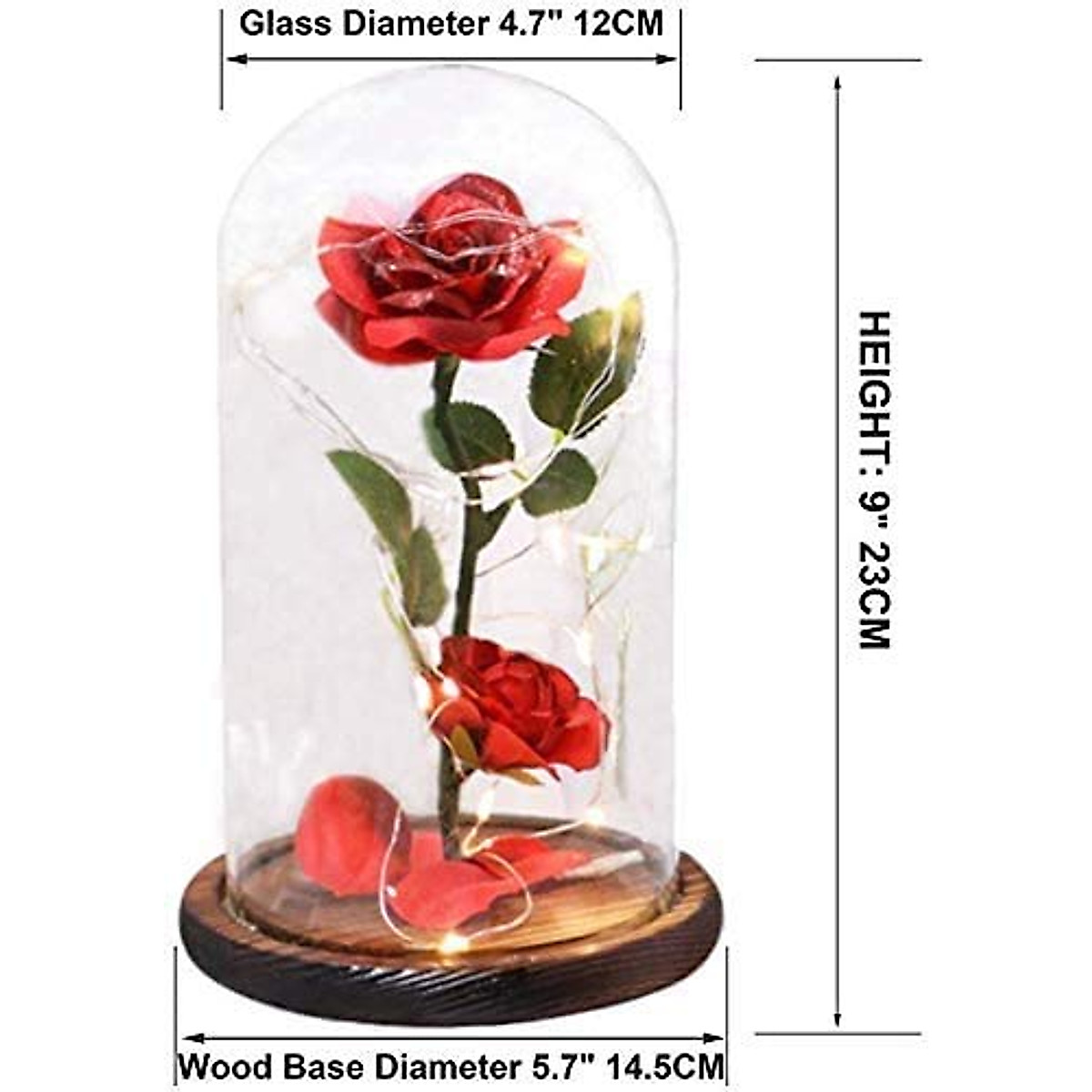 URBANSEASONS Beauty and The Beast Rose Flowers,Women Gifts Idea Birthday, Unique Gifts for Her,Anniversary Rose Gift Decorations Artificial Flower Gift Romantic Red Silk Rose, Flower in Glass Dome