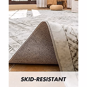 Rugs for Living Room 5x7 feet-Area Rug Carpet-Distressed Vintage Medallion Bedroom Rug Dining Living Room Rug-Aesthetic Machine Washable Rug TP Backing-Grey