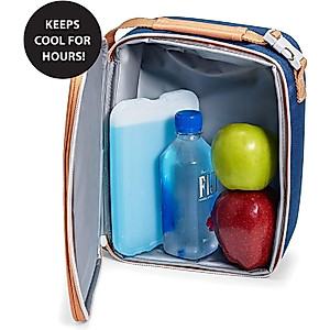 Fit + Fresh XL Cool Coolers Freezer Slim Ice Pack for Lunch Box, Coolers, Beach Bags and Picnic Baskets, Multi-Colored, 4 pack, Extra Large