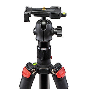 Panasonic Lumix DC-GH5 Mirrorless Micro Four Thirds Digital Camera Body, 2X Transcend 64GB, Professional Video LED Light, Microphone, Accessory Bundle