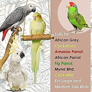 SIMENA Bird Chewing Toy for Parrots, Bird Toys for Cage, Parrot Toys Made of Natural Wooden Blocks, Bite Toy for African Grey Cockatoos Amazon Parrots Large and Medium Size Parrots (Plain)