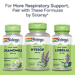 SOLARAY Mullein Leaf, Herbal Support for Healthy Respiratory and Bronchial Function, Vegan, 100 Vegcaps