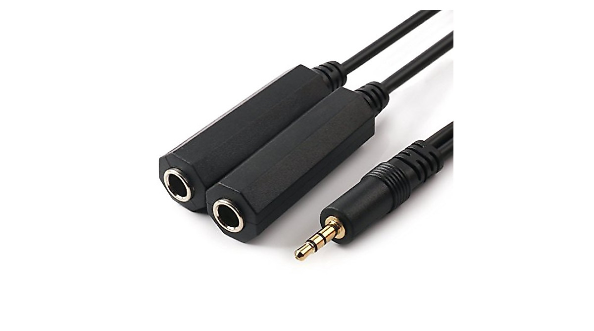 NANYI 3.5mm to Dual 6.35mm Audio Splitter Cable - 1FT