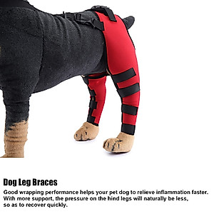 GLOGLOW 1 Pair Dog Hind Leg Braces, Dog Rear Leg Hock Wraps Canine Elbow Protector for Ligament Injuries Sprains(Red L) Boots
