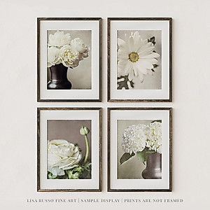Lisa Russo Fine Art - Nature Wall Art - Botanical Flower Wall Decor Pictures - Shabby Chic Style - Set of 4 - Not Framed - Ivory, Tan, Beige (4 SMALL 5x7 Prints Only)