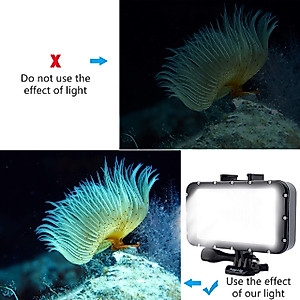 Suptig 60 LED Video Light with 5200mAh Portable Charger Portable Lighting Compatible for Gopro Hero 12, Hero 11/10/9/8/7/6/5/4/3/3+/Gopro Max, Fusion, DJI osmo Insta 360 ace pro, Waterproof 164ft