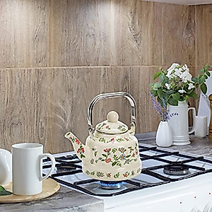 Jucoan 1.8 Quart Enamel Tea Kettle, Vintage Green Floral Enamel on Steel Teapot Water Kettle with Filter and Cool Grip Stainless Steel Handle for Stovetop Induction Gas, No Whistling Teakettle