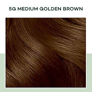 Clairol Natural Instincts Demi-Permanent Hair Dye, 5G Medium Golden Brown Hair Color, Pack of 3