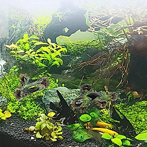 Hamiledyi 4Pcs Decaying Trunk Driftwood Aquarium Ornament,Small Resin Wood Trunk Aquarium Decoration Log,Tank Decoration for up to 20 Gallon Tank Betta & Fish Accessories Aquarium Cichlid Hideout Cave