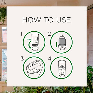 Air Wick Automatic Spray Starter Kit (Gadget + 2 Refills), Summer Delights, Essential Oils, Air Freshener, Odor Neutralization