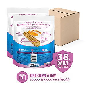Dentalife Purina Plus Digestive Support Chicken and Pumpkin Flavor Large Dog Dental Chews, MP - 19 ct. Pouch