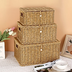 Hipiw Resin Woven Baskets Bin with Lid & Handle - Set of 3 Rectangular Shelf Baskets Multipurpose Storage Basket Boxes Home Decorative Container for Closet Shelf Organizing, Large Size