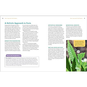 Beginner's Guide to Growing Cannabis and Making Your Own Healing Remedies: Learn about the Plant's Medicinal Properties; Grow Outdoors in Your Own ... and Make Tinctures, Salves, Edibles, and Oils