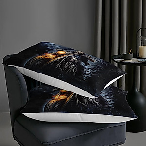 AILONEN Boys Skull Full Size Comforter Set, Motor Rider Skeleton Bone Bedding Set Howling Wolf Comforter Set,3 Pieces Galaxy Starry Skull Soft Comforter Set, 1 Quilt and 2 Pillowcases