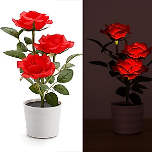 Solar Pot LED light Rose Table Lamp 3 Lights LED Flexible Desk Lamp for Room Decoration (Red)