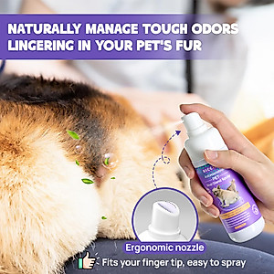 HICC PET Dog Anal Gland Spray - Fast Relieves Anal Gland Irritations and Soothes Itching, Stops Scooting, Eliminates Tough Odors, Pain Relieving & Anti-Itch, Safe for All Animals - 4 Fl Oz