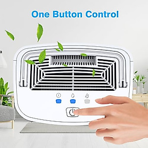 Levoair Dehumidifier 68oz(2000ml) Small Dehumidifier with Drain Hose for Up to 650 sq.ft Ultra Quiet Mini Portable Air Dehumidifier for Home Basements Bathroom Bedroom Closet Kitchen RV