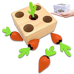 Doyolta Montessori Toys for Toddlers 4 Years Old, Shape Sorting Matching Puzzle Toy with Carrots Travel Toys in Tin Box for 4 Year Old Gifts for Boys Girls