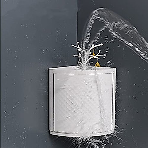 GOVNPJ Multifunction Bathroom Corner Locker, Wall-Mounted Cosmetic Storage Rack Punching Free Triangle Rotating Storage Shelf for Corner Storage (Single Layer)