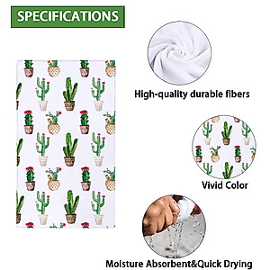 Watercolor Cactus Kitchen Dish Towel 18 x 28 Inch, Seasonal Spring Summer Cacti Towels Dish Cloth for Cooking Baking Set of 2