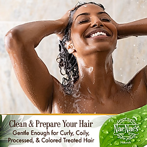 Nae Nae's Naturals Purify Clarifying Shampoo - 8oz