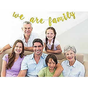Gold Glitter We are Family Banner, Family Reunion Party Banner, Family Photo Prop, Banner for Family Party Home Decoration - We are Family