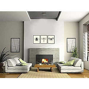 Bee Dragonfly Butterfly Wall Art Prints set of 3 Prints 8x10 - Unframed - Beautiful Black and White Illustration Ivory Natural Background Home Room Decor