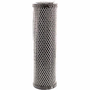 Pentek 255679-43 Carbon Filter
